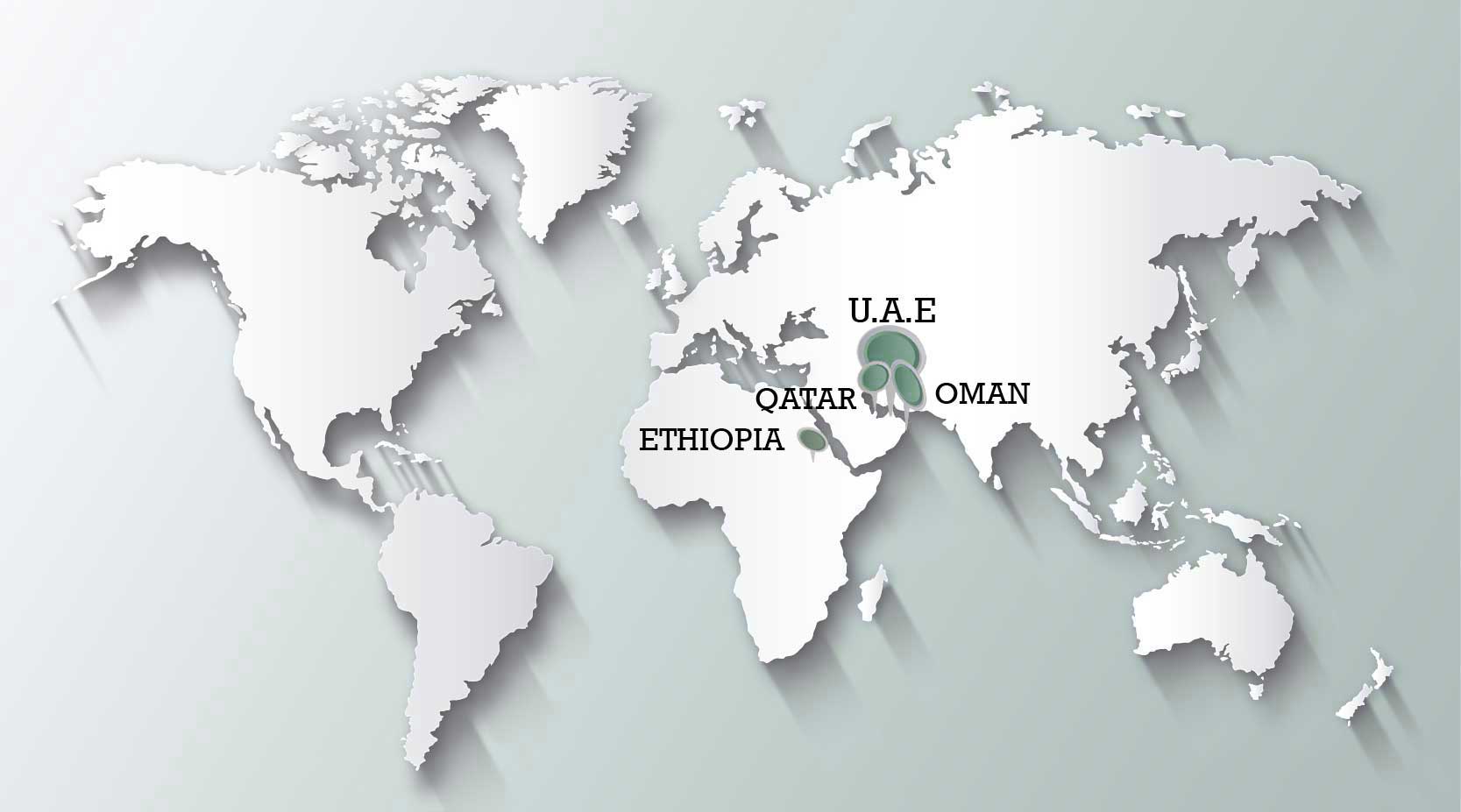 About – Tri Machinery Trading & Rental Co. LLC